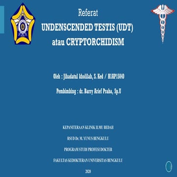 502545638-REFERAT-UDT-ppt-aaaaaaaaa.pptx