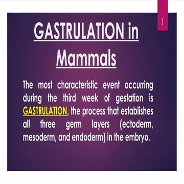 503059520-Gastrulation-in-Mammals developmental biology.pptx
