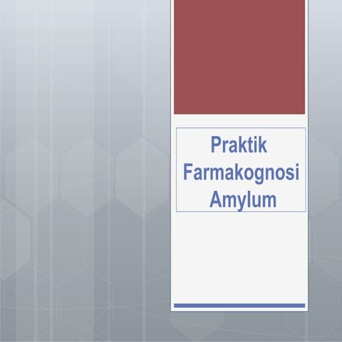 materi Amylum Farmakognosi kelas XI.pptx