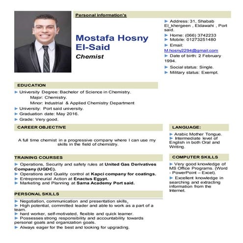 Mostafa Hosny Elsaid C.V | PDF
