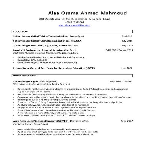 Alaa Osama CV | PDF
