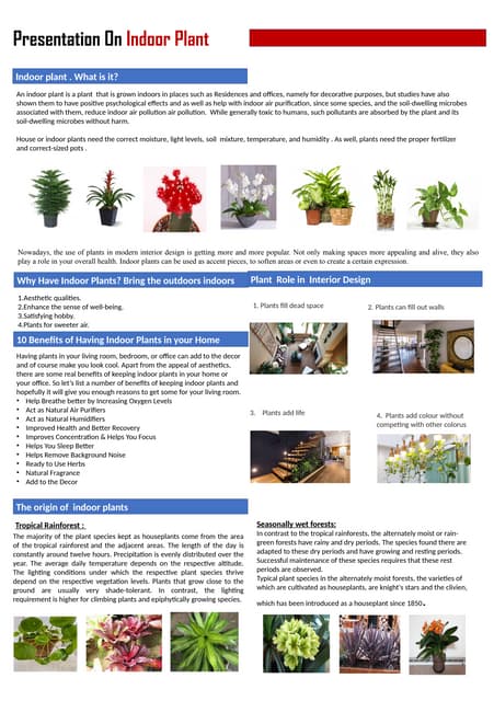 Best Indoor Plants | PPT