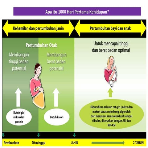 504275345-1000-11111111111111HPK-bkkbn.ppt