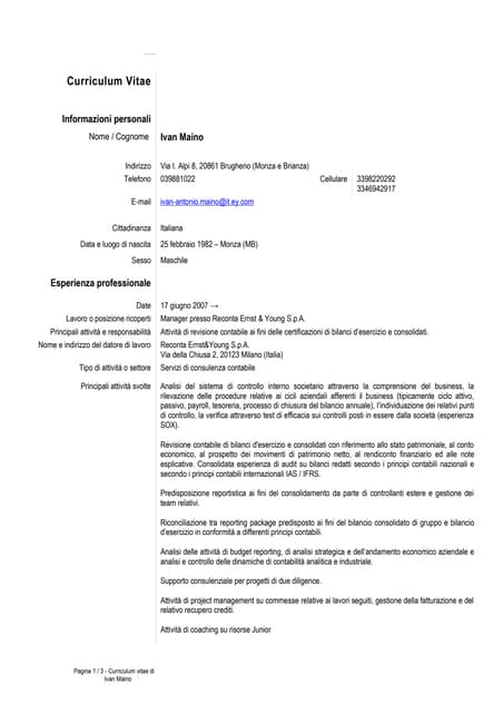 CV mario negri | PDF | Technology & Computing