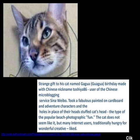 506-Poor cats-Chinese game | PPT