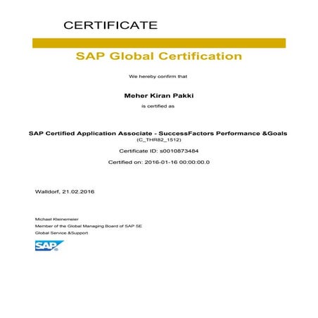 SF- Certification - Performance & Goals | PDF