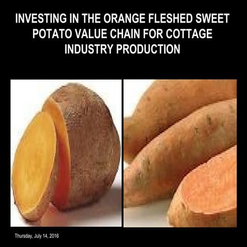 SWEET POTATO VALUE CHAIN INVESTORS PLAN | PPT