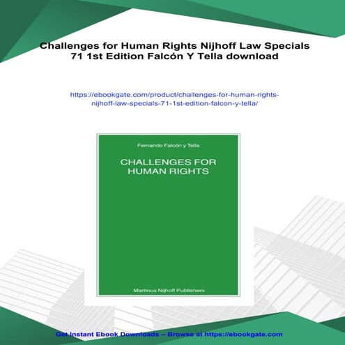 Challenges for Human Rights Nijhoff Law Specials 71 1st Edition Falcón ...