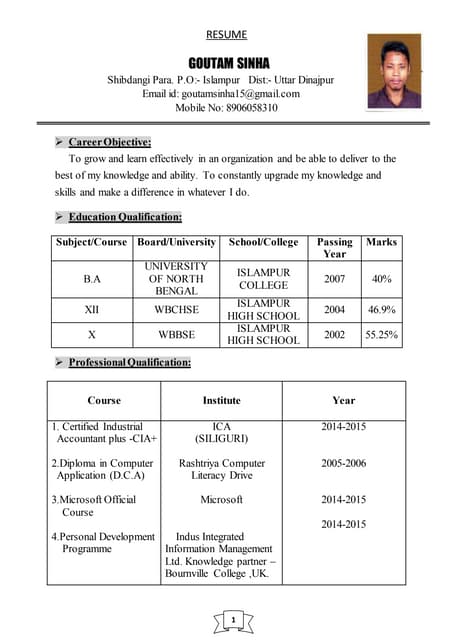Fatima AlAli Resume 1 | PDF