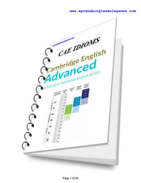 CAE C2 MULTIWORD VERBS | PDF