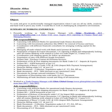 SHAMIM PROFILE | PDF