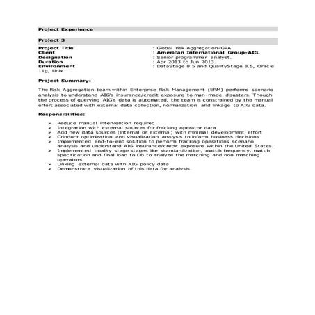 Project Experience3 | DOCX