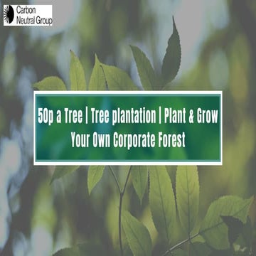 50p a Tree Tree plantation Plant & Grow Your Own Corporate Forest.pdf