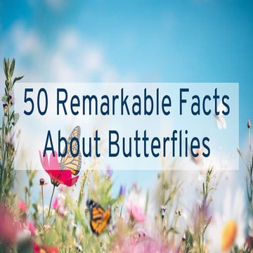 50 Remarkable Facts About Butterflies.pdf