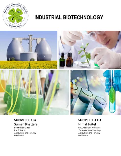 Microbial bioprocessing | PPTX | Biotech and Biomedical Industry | Industries