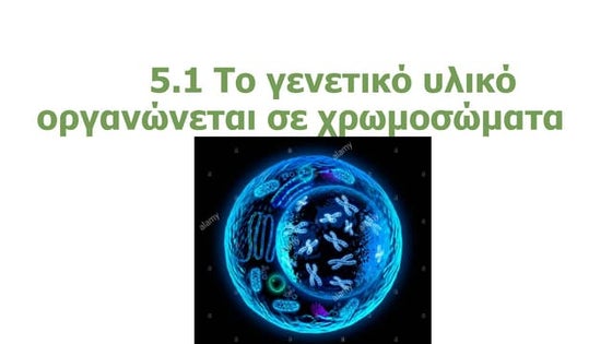 μιτωση μειωση βιολογια γ γυμνασιου | PDF