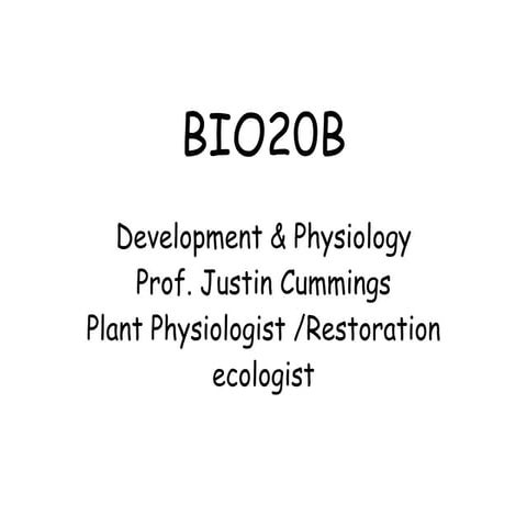 Treebiology | PPT