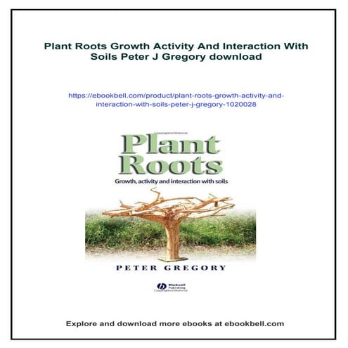 Plant Roots Growth Activity And Interaction With Soils Peter J Gregory ...