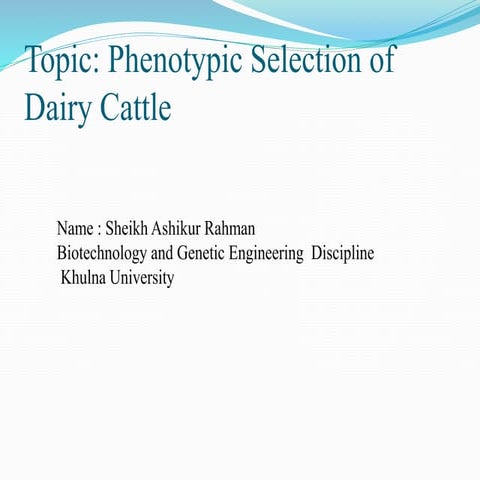 Phenotypic Selection of Dairy Cattle | PPTX