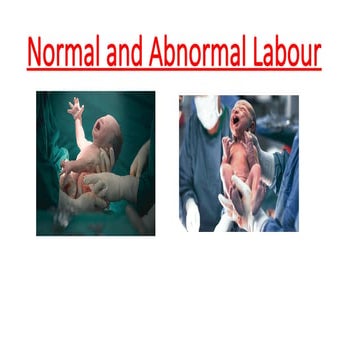 511302530-NORMAL-ABNORMAL-LABOUR Mhasa yn | PPTX | Pregnancy ...