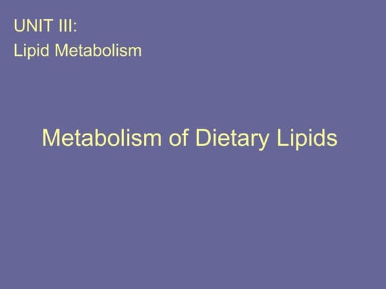 Digestion And Absorption Of Lipids Ppt Ppt