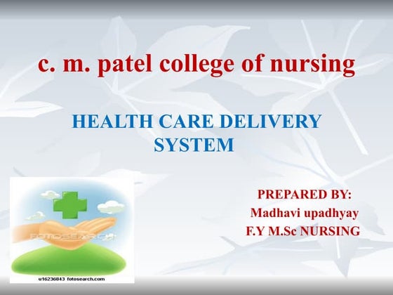 Levels of health care ppt | PPTX