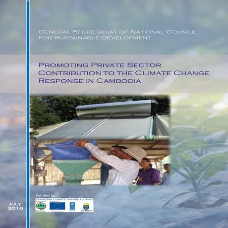 Report Private sector mapping v6_FINAL | PDF