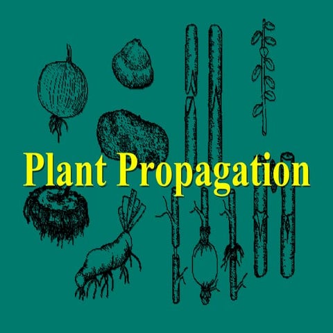 514-Plant-Propagation plant propagation.ppt