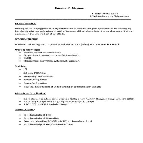 Annie CV | DOCX