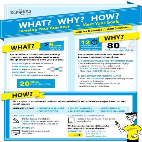 Dummies Custom Solutions Why What How | PDF