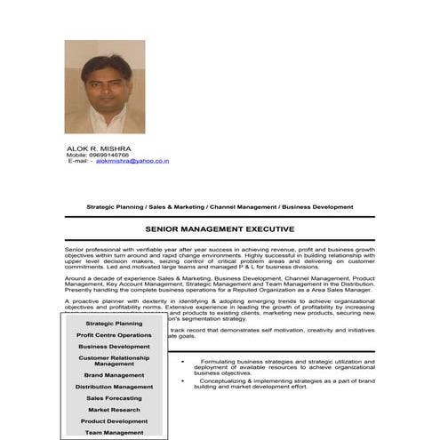 Alok resume-Jan.17 - Copy | DOC | Sales | Business