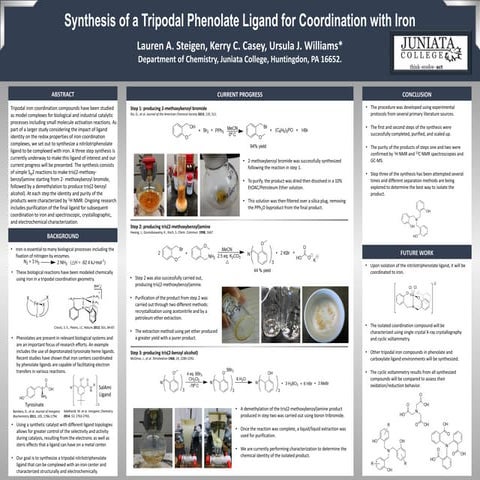 Liberal Arts Symposium Poster (Lauren Steigen) | PPT