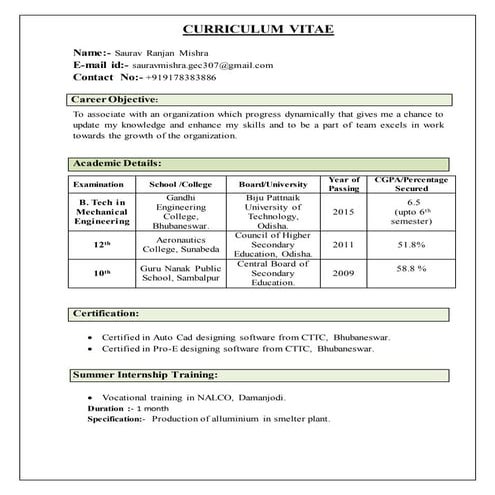 CV Format | PDF