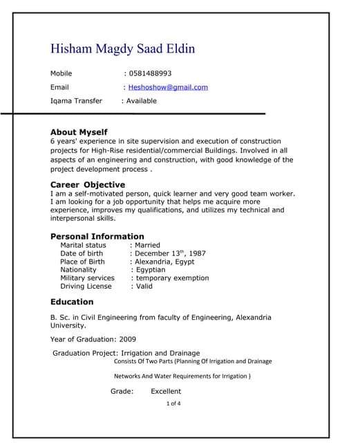 Youssef CV pdf | PDF | Civil Engineering Industry | Industries