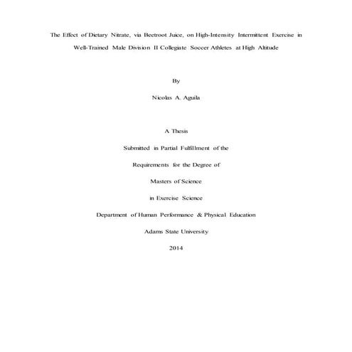 Final Thesis Paper | PDF