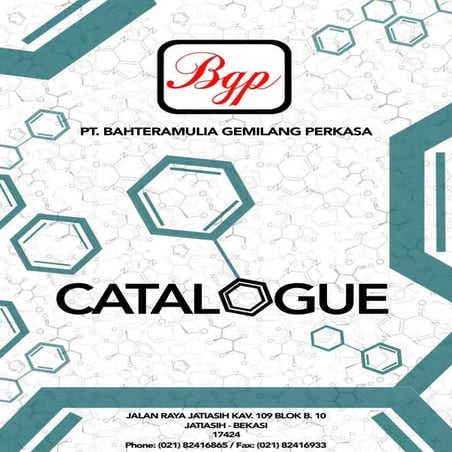 (2)BGP_PRODUCT_CATALOGUE | PDF