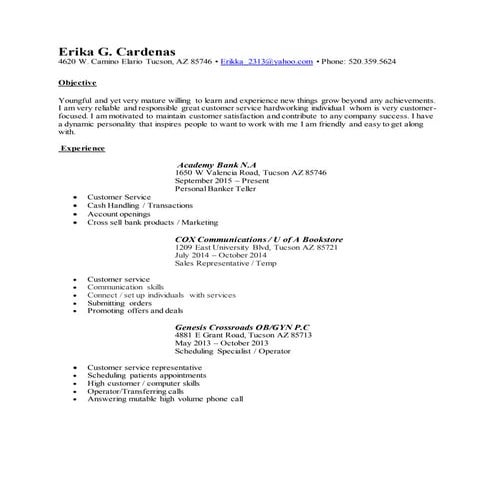 Erika G Resume2013 | PDF