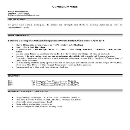 Project Summary | DOCX