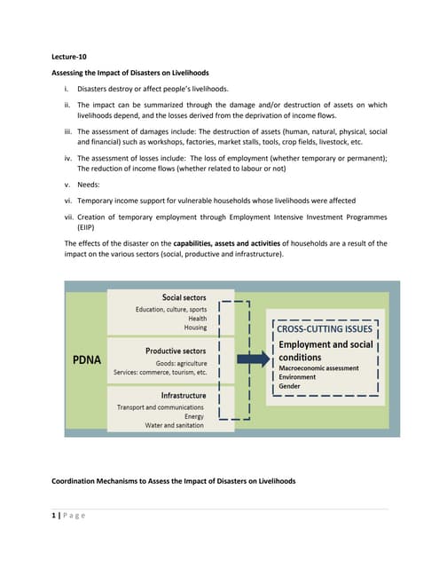 Rapid Damage Assessment and Needs Analysis Report.pptx