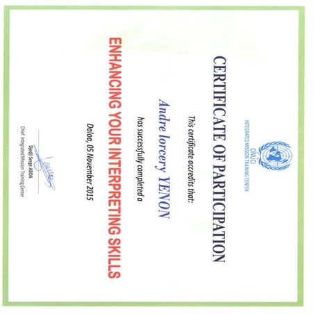 UN Certificate | PDF