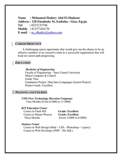 Mohamed mohsen cv | PDF
