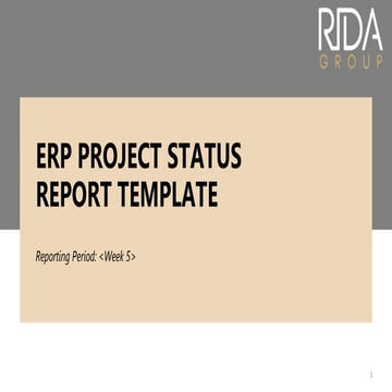 524731396-ERP-Project-Status-Report-template.pdf