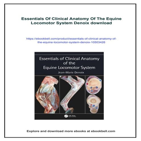Essentials Of Clinical Anatomy Of The Equine Locomotor System Denoix | PDF