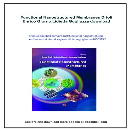 Functional Nanostructured Membranes Drioli Enrico Giorno Lidietta Gugliuzza | PDF