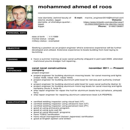 Professional CV | PDF