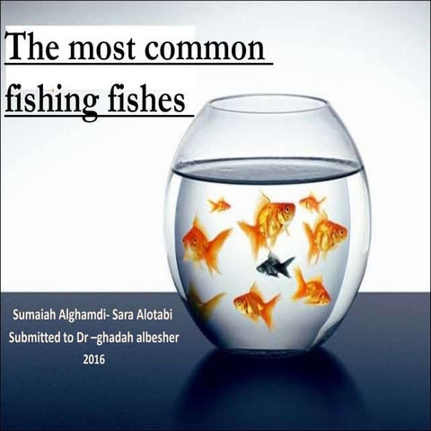 The most common fishing fishes | PPTX
