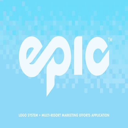 Epic Logo Standards_4 | PDF