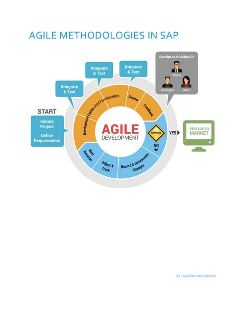 ERP/SAP Project Charter | PDF