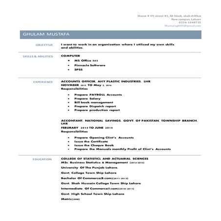 Muhammad Usman CV | DOCX