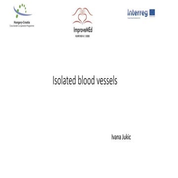 Isolated blood vessels | PDF
